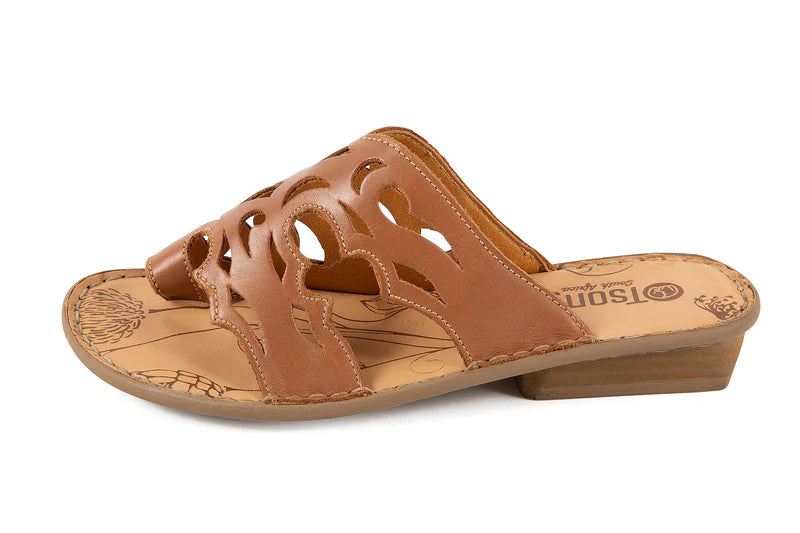 Tsonga Isivina – The Leisa Tree