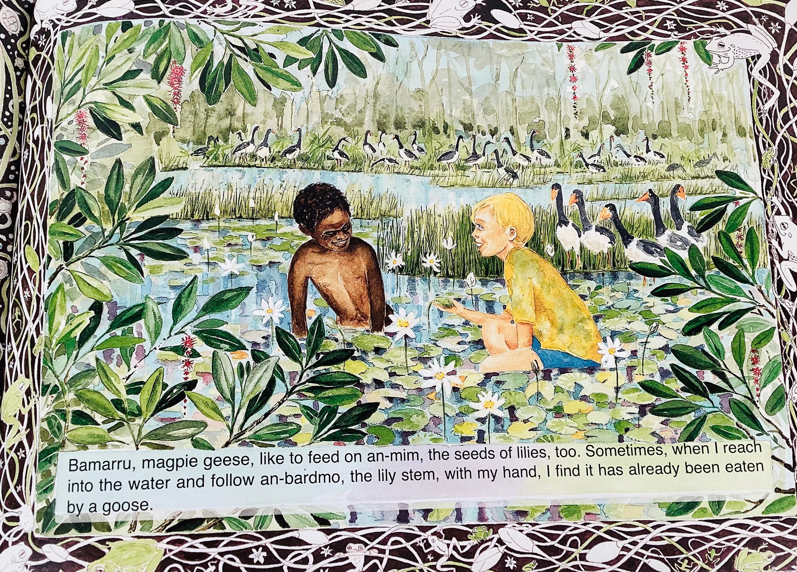 Waterlilies Book – The Leisa Tree